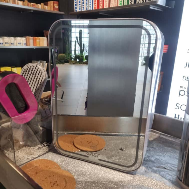 SAST Mini Fridge With LED Mirror 12L – onion